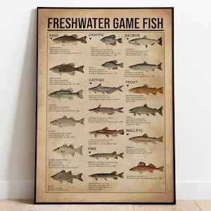 Freshwater Game Fish Knowledge Vintage Poster, Bass Fishing Knowledge ...