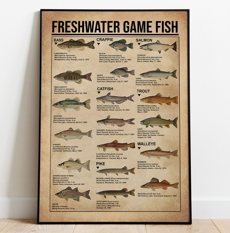 Freshwater Game Fish Knowledge Vintage Poster Bass Fishing - Etsy