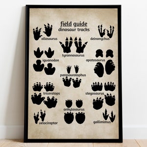 Field Guide Dinosaur Track Vintage Poster, Dinosaur Footprints Poster ...