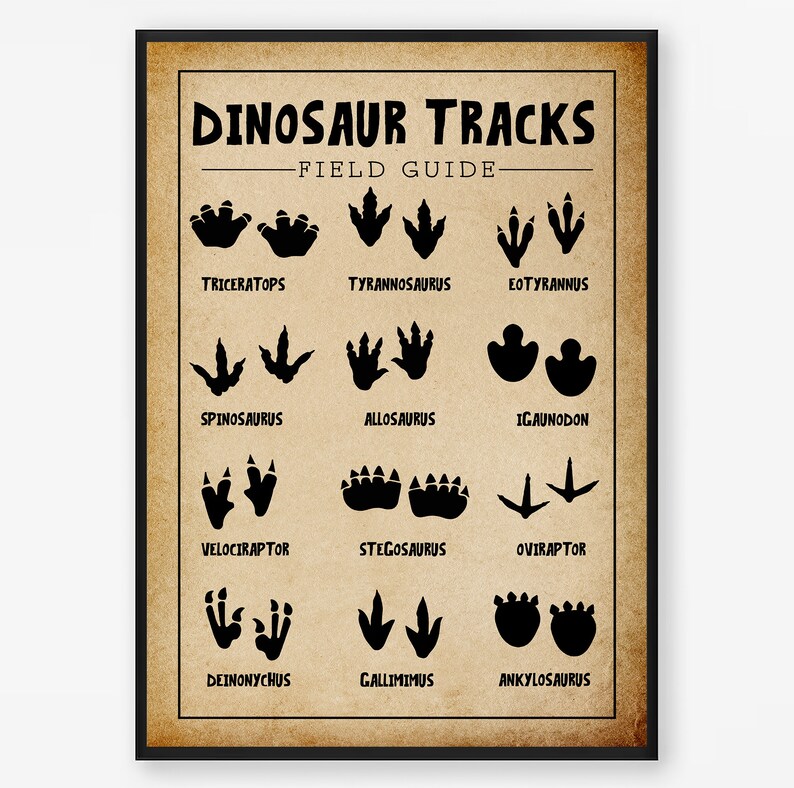 Dinosaur Tracks Field Guide Poster Dinosaur Footprints Wall - Etsy