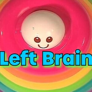 Brainy Baby® Dvds Set of 13 : Left Brain, Right Brain, Shapes & Colors ...