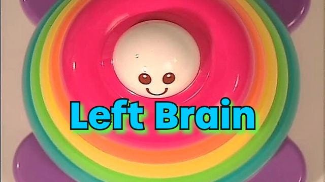 Brainy Baby® Dvds Set of 13 : Left Brain, Right Brain, Shapes & Colors ...