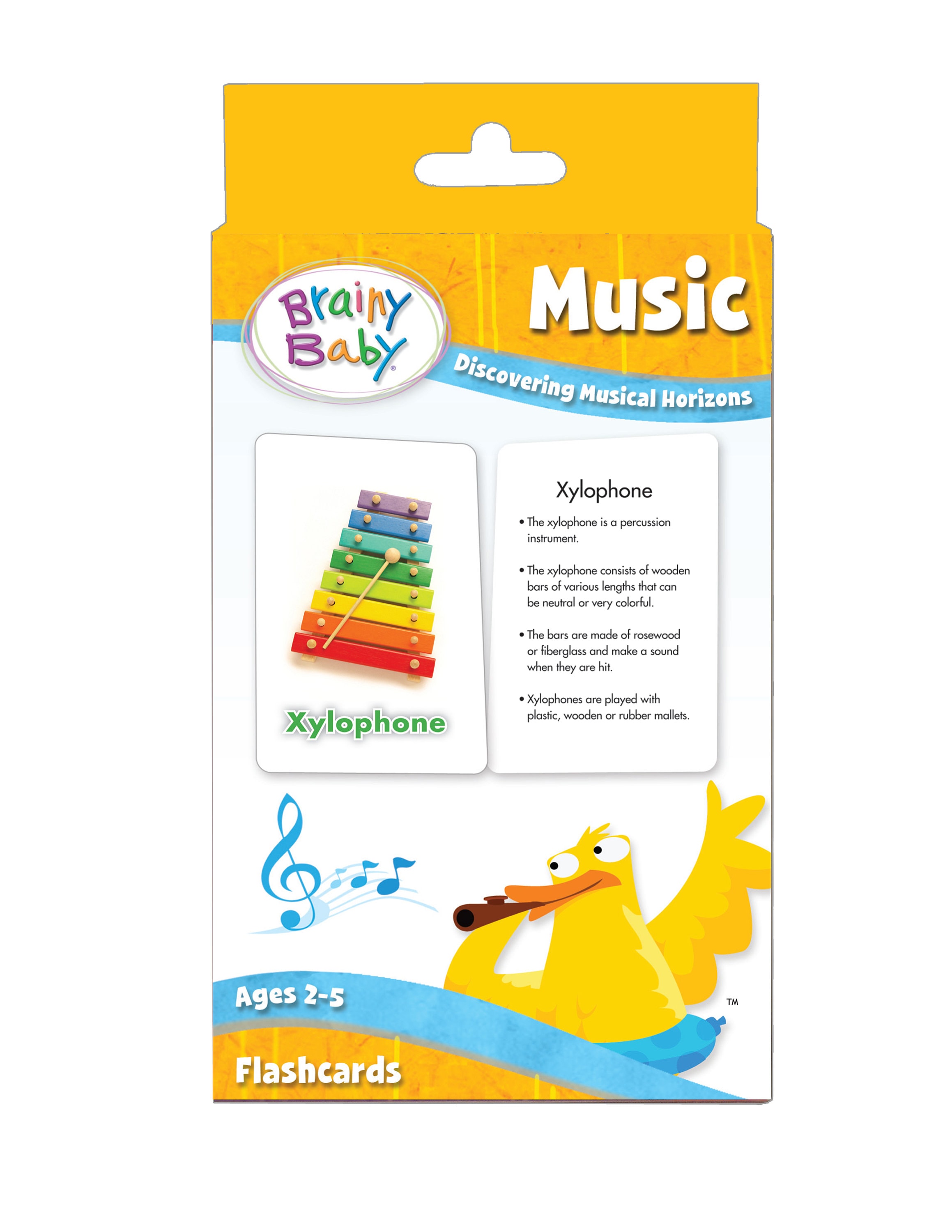 Brainy Baby® Music Video, Book & Flashcards Set of 3 : Discovering ...