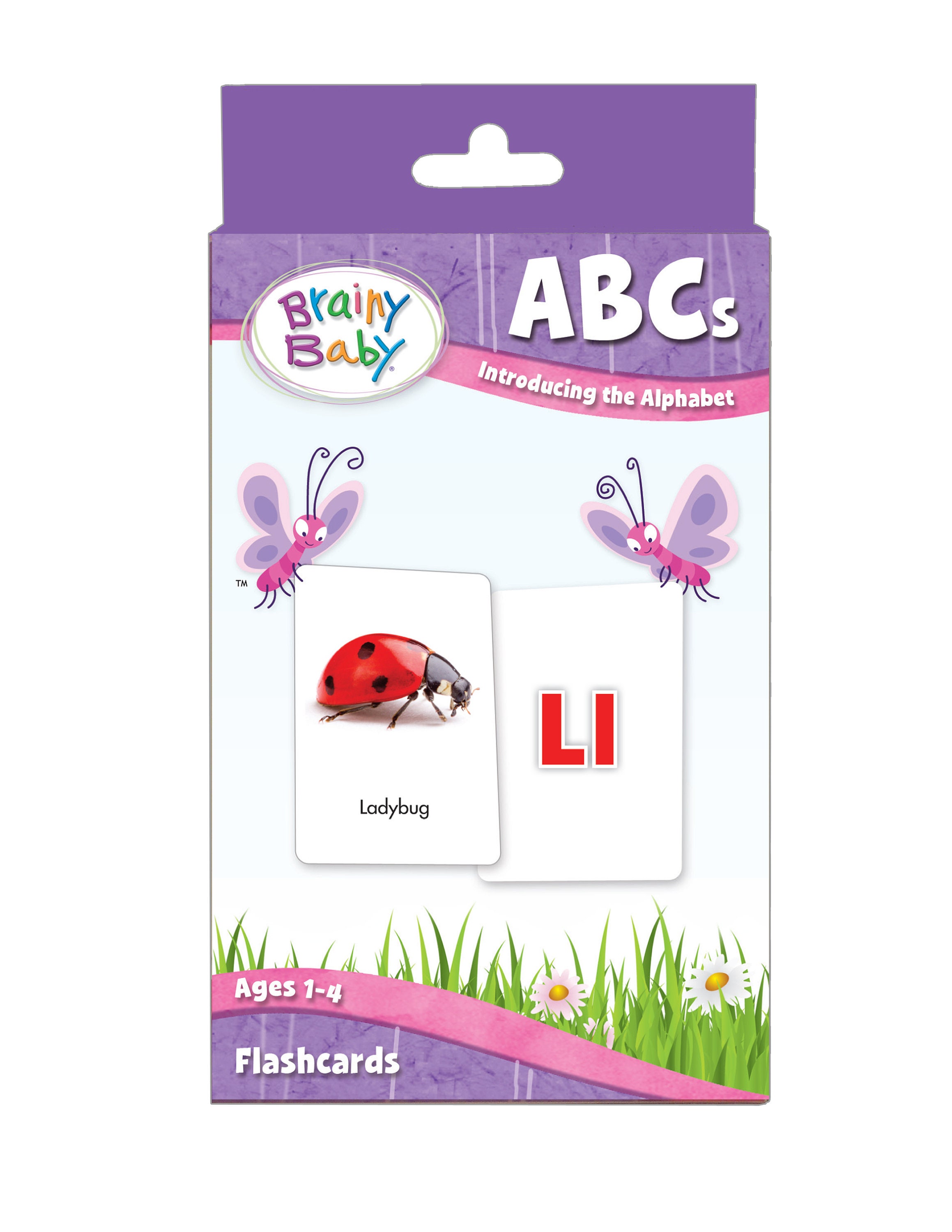 Brainy Baby® Abcs DVD, Board Book & Flashcards Set of 3 : Introducing ...