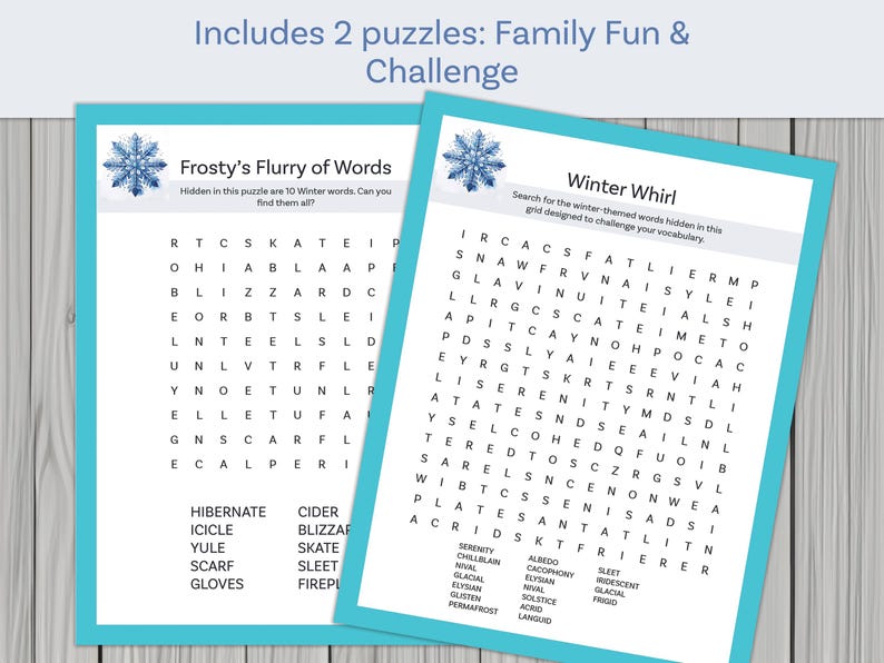 Winter Word Search Bundle: Family Fun & Vocabulary Challenge Puzzles - Etsy