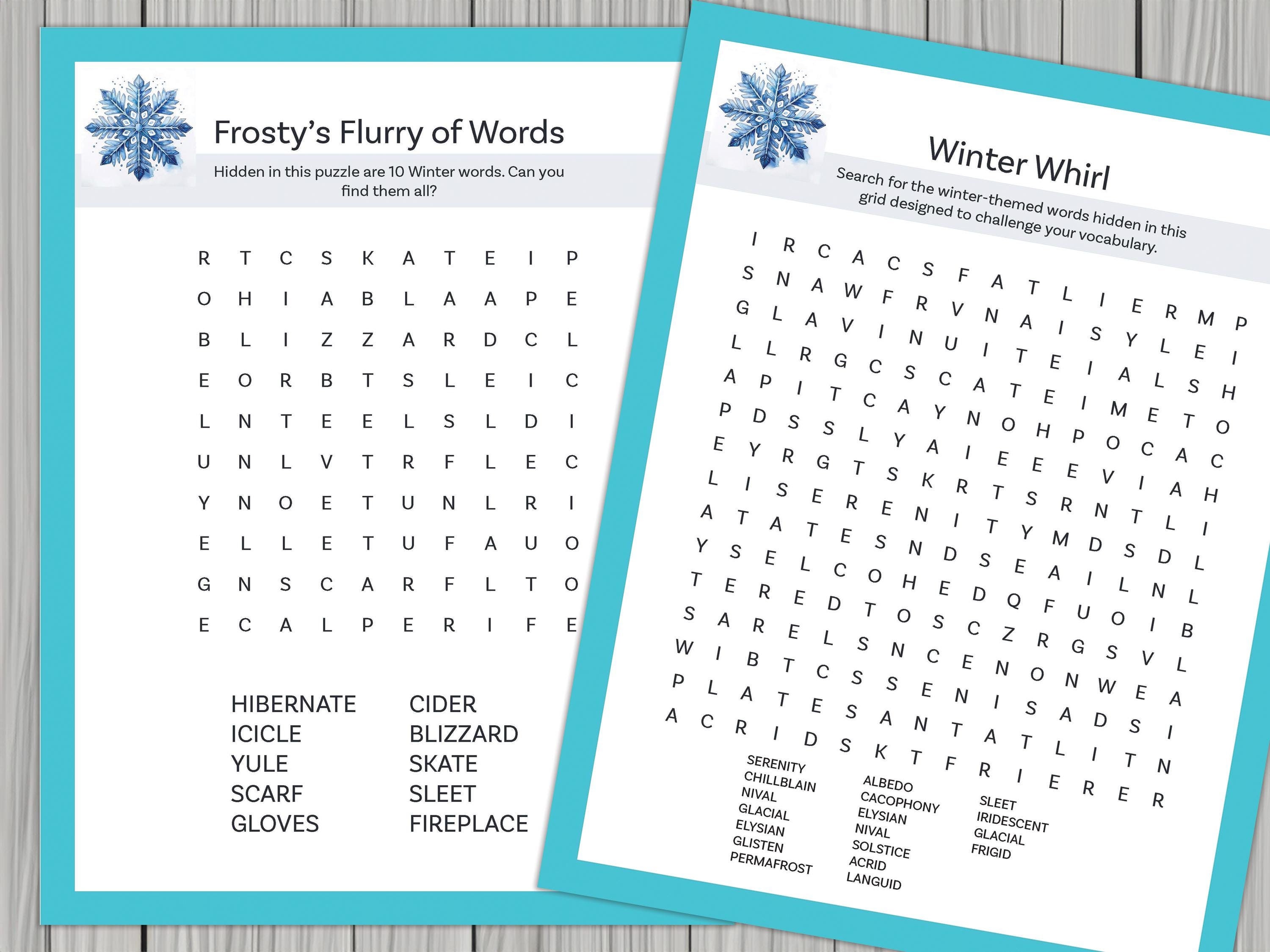 Winter Word Search Bundle: Family Fun & Vocabulary Challenge Puzzles - Etsy