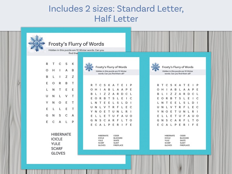 Winter Word Search Bundle: Family Fun & Vocabulary Challenge Puzzles - Etsy