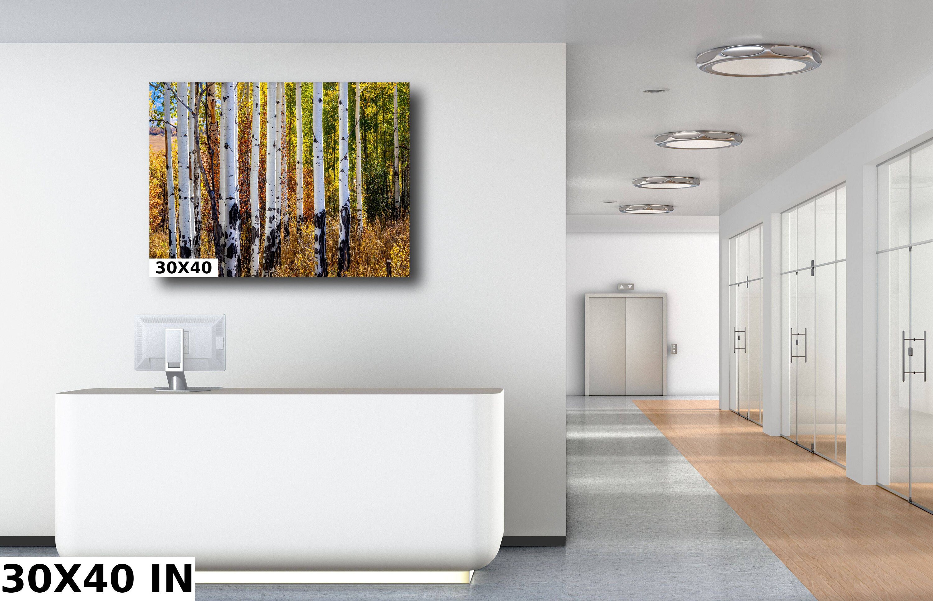 Aspen Tree Wall Art Aspen Tree Canvas Aspen Tree Print - Etsy