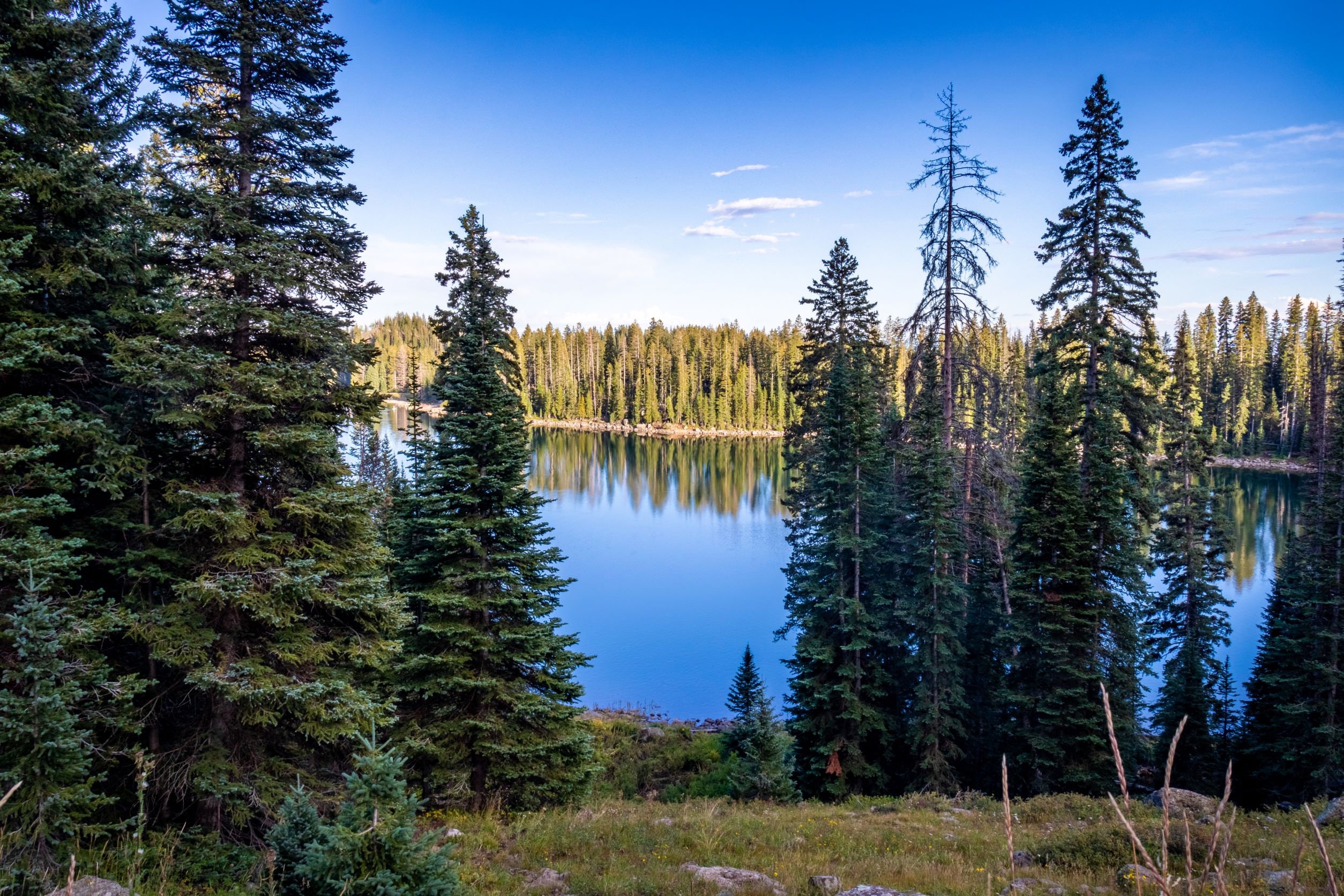 Island Lake Grand Mesa Colorado