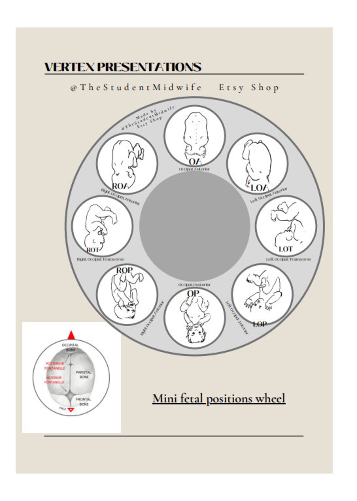 Pocket Placement Guide Care in Labour and Birth With Birth Positions ...