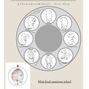Pocket Placement Guide Care in Labour and Birth With Birth Positions ...