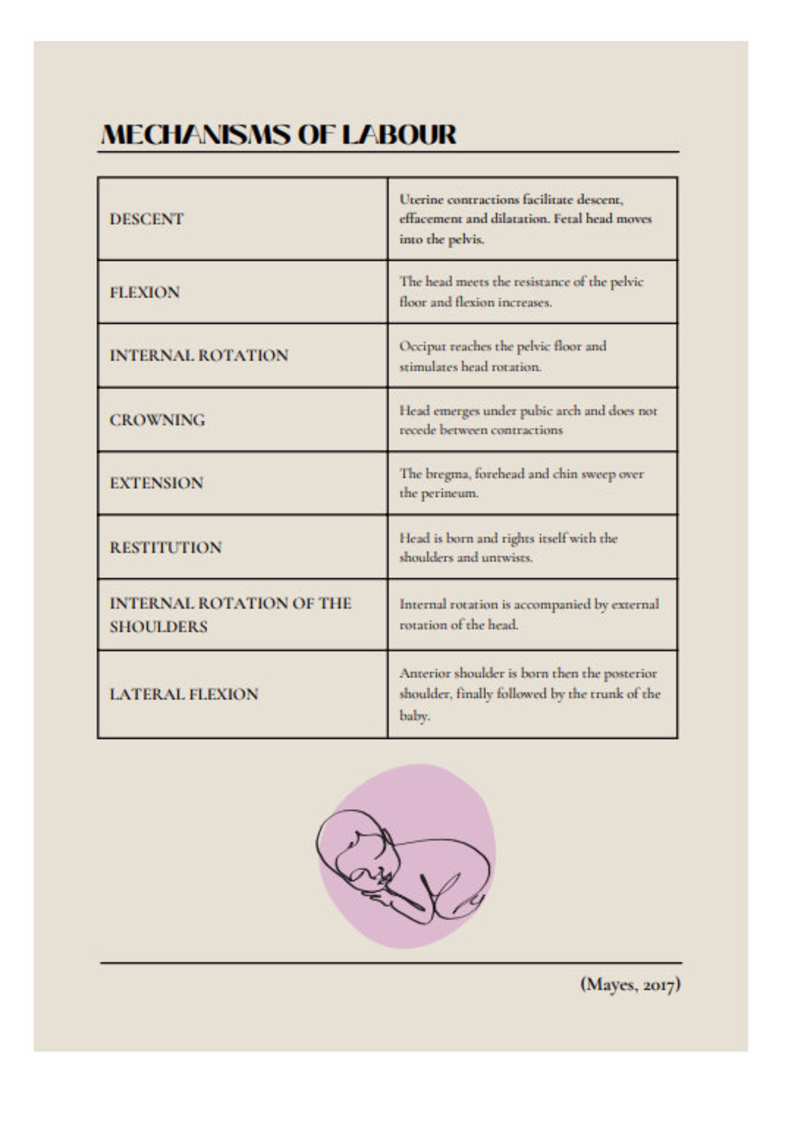 Pocket Placement Guide Care in Labour and Birth With Birth Positions ...
