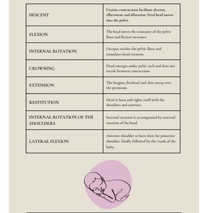 Pocket Placement Guide Care in Labour and Birth With Birth Positions ...