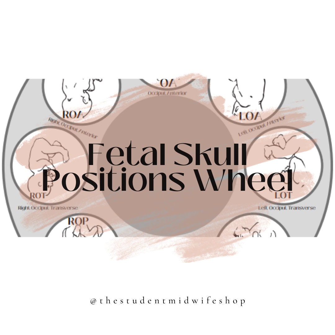 Student Midwife Fetal Position Wheel - Etsy UK