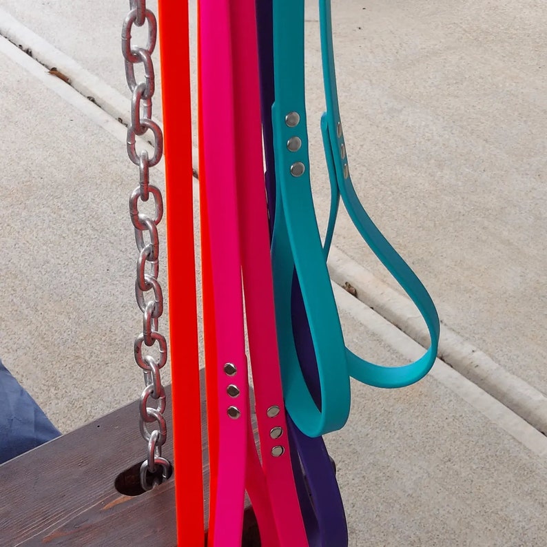 Check Cord 3/4" Biothane Twelve Foot Orange Brown Teal Pink Purple Long ...