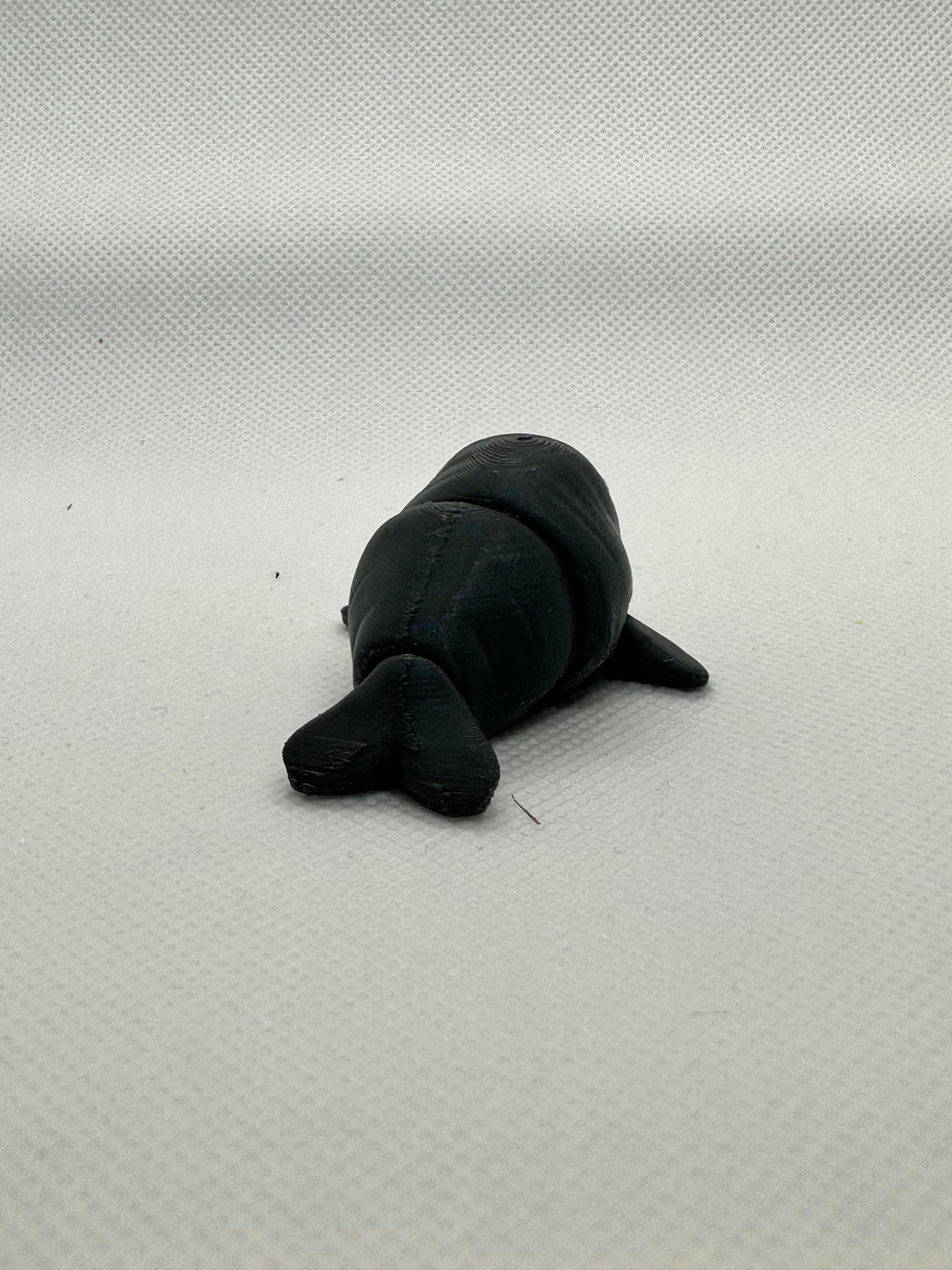 Adorable Baby Seal Fidget Toy With Hand-painted Eyes - Etsy
