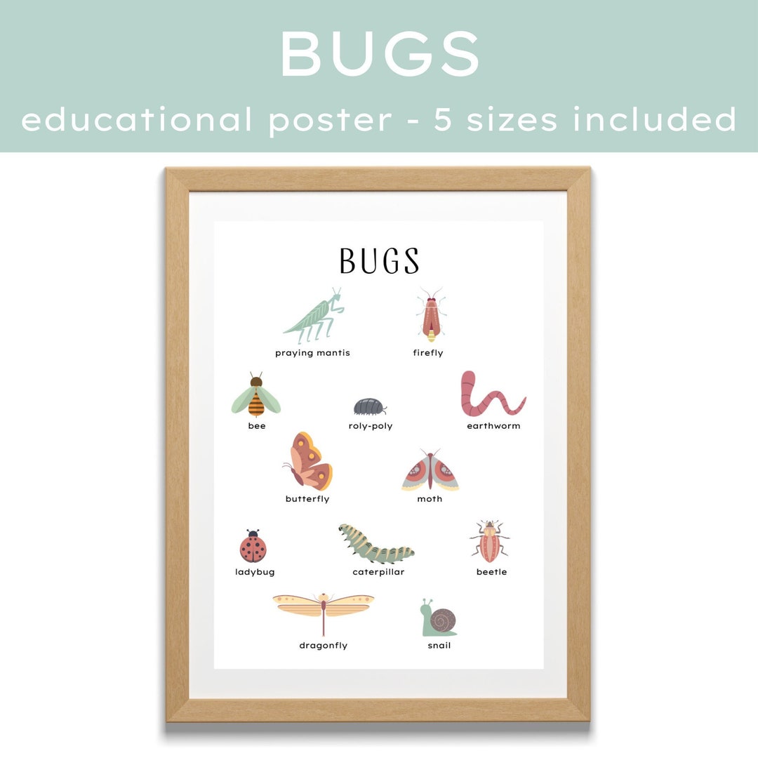 Bugs Educational Neutral Poster | Instant Digital Download | Homeschool ...