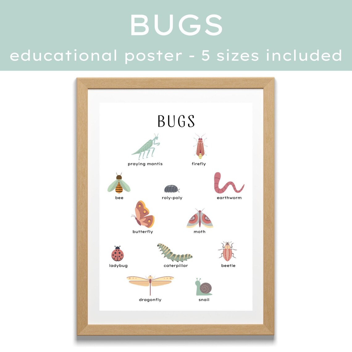 Bugs Educational Neutral Poster | Instant Digital Download | Homeschool ...