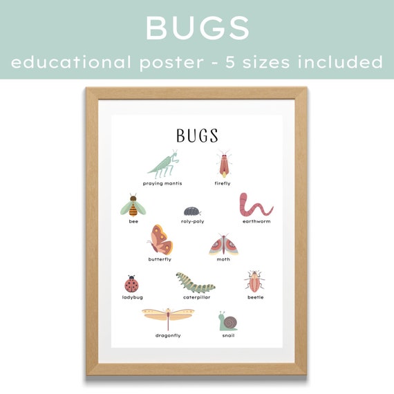Bugs Educational Neutral Poster Instant Digital Download - Etsy