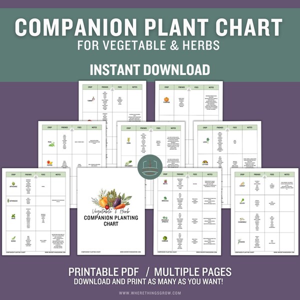 Companion Planting Guide - Etsy