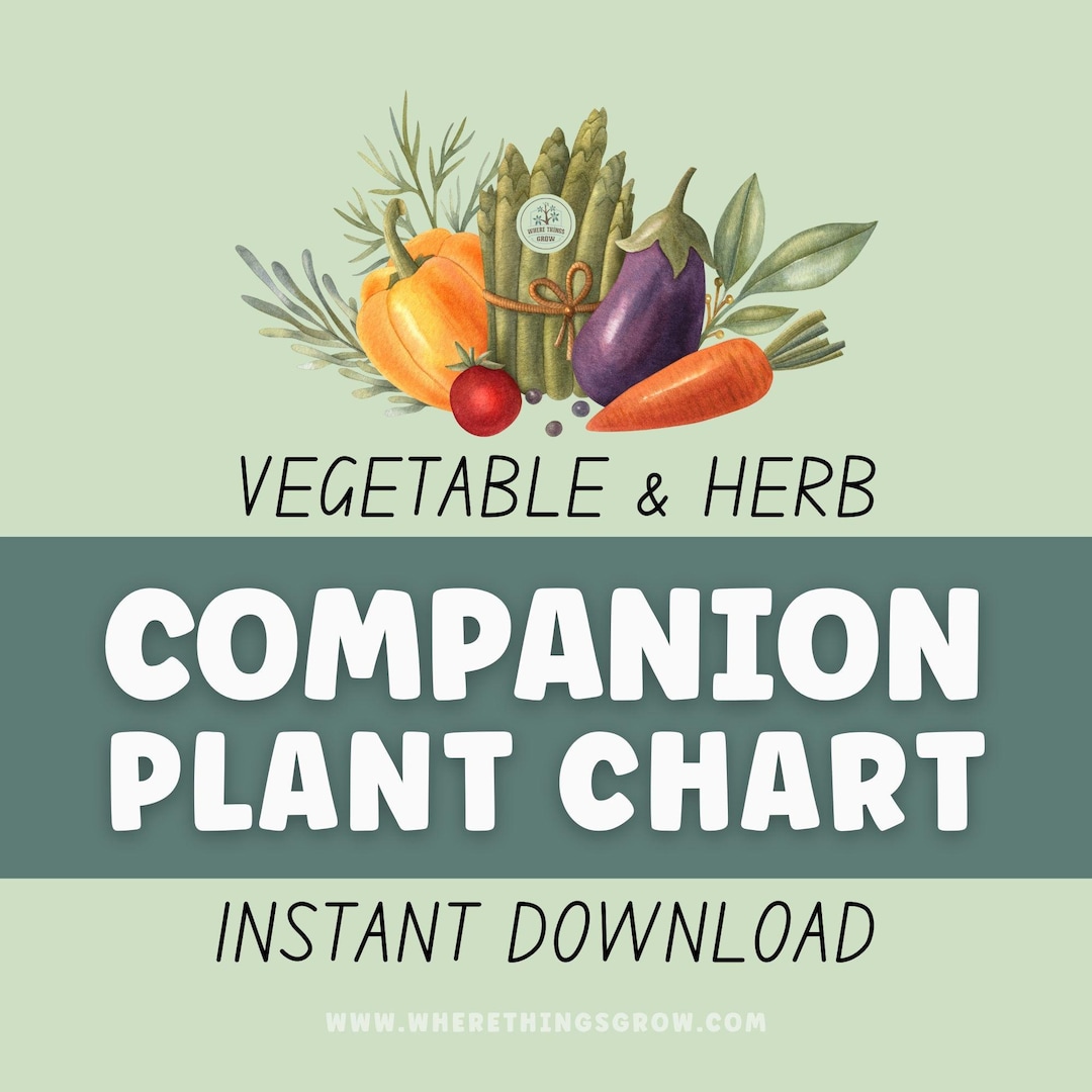Companion Planting Guide: Vegetable & Herb Garden Planner (digital ...