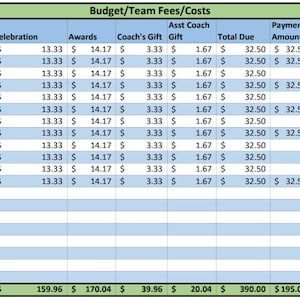 Digital Youth Sports Team Budget - PDF - Etsy