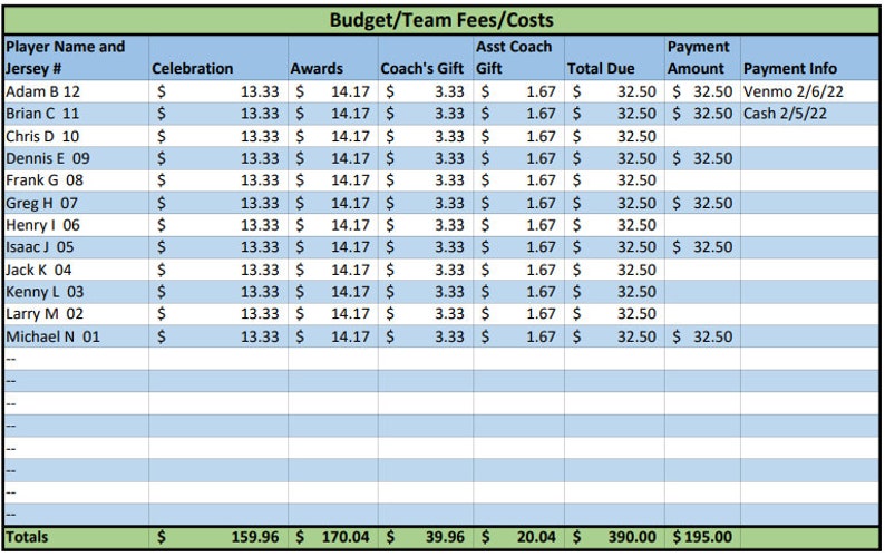 Digital Youth Sports Team Budget - PDF - Etsy