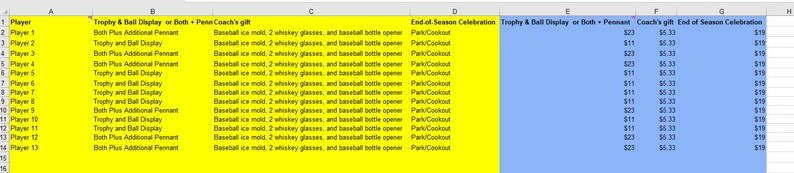 Digital Youth Sports Team Budget - Excel - Etsy