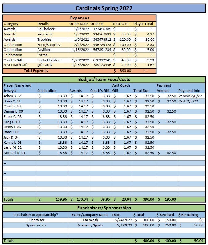 Digital Youth Sports Team Budget - PDF - Etsy