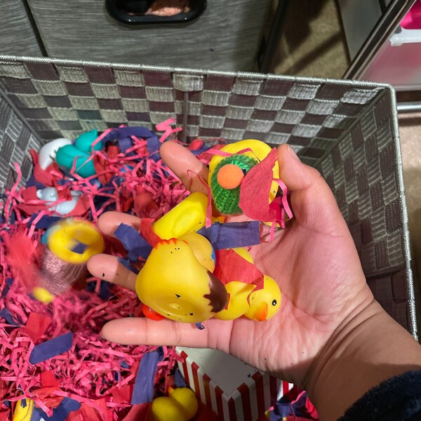 Rubber Ducks - Etsy