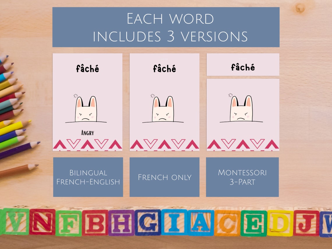 French-english Bilingual Emotions Chart Flashcards Set Printable ...
