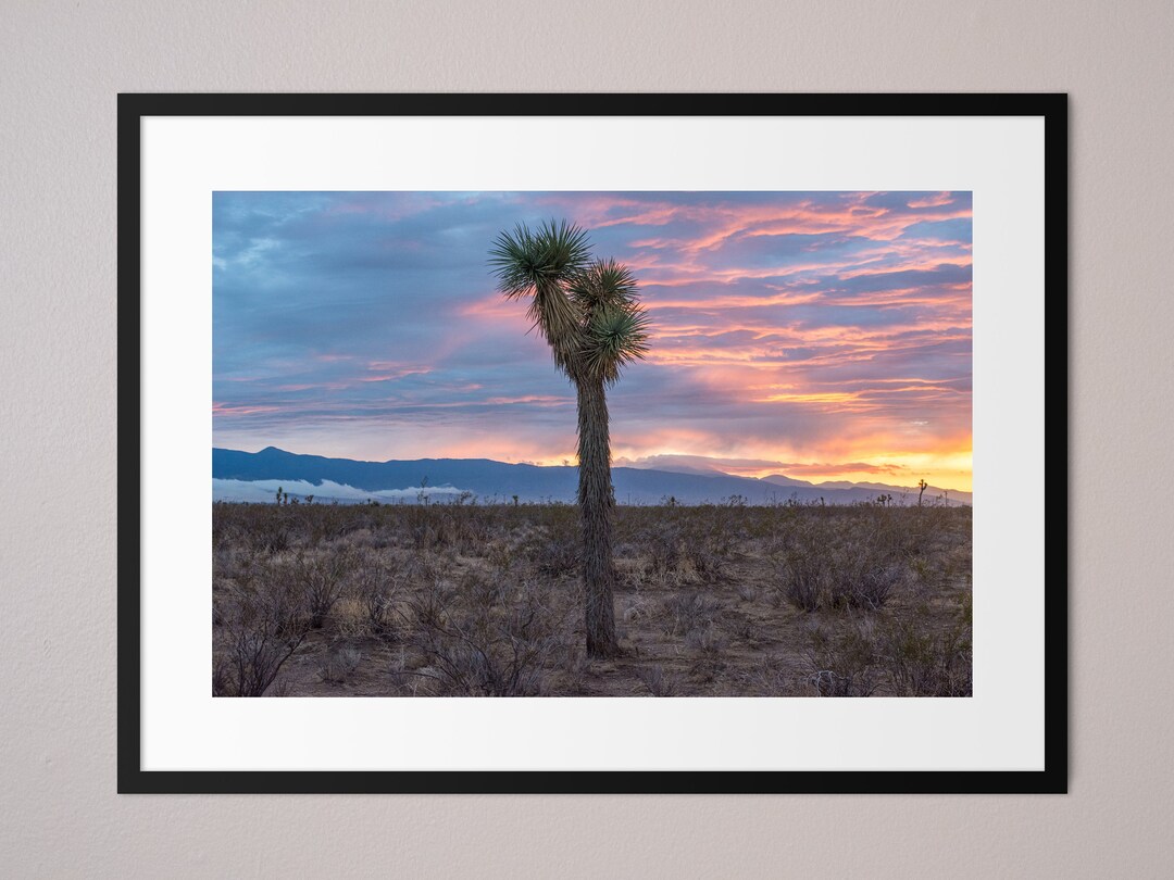 Antelope Valley Sunset, Landscape Photography Print, Joshua Tree ...