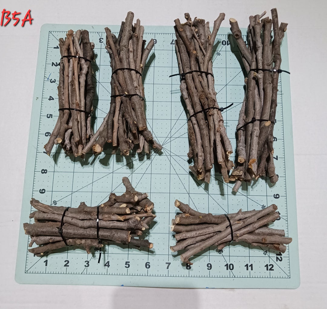 6 Mini Oak Log Bundles Sticks Twigs - Etsy