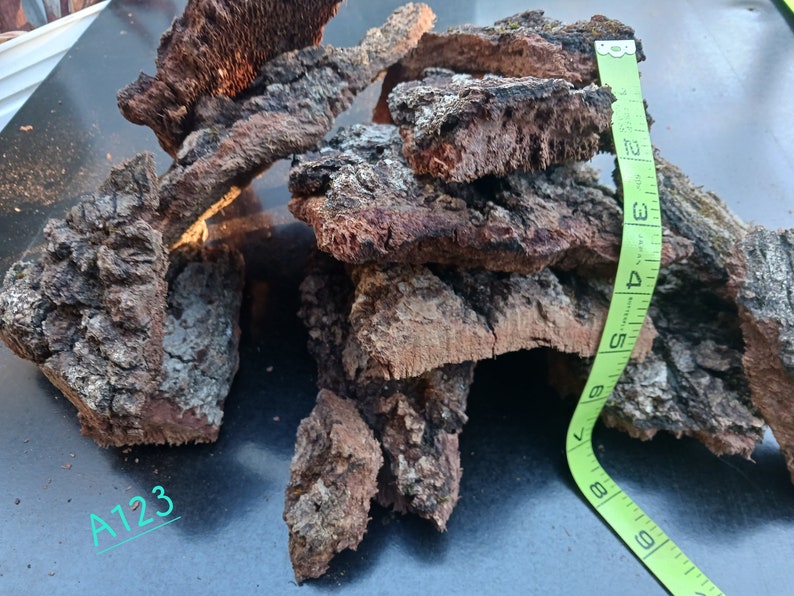 All Natural Wild Oak Tree Bark Real Tree Bark Terrariums - Etsy