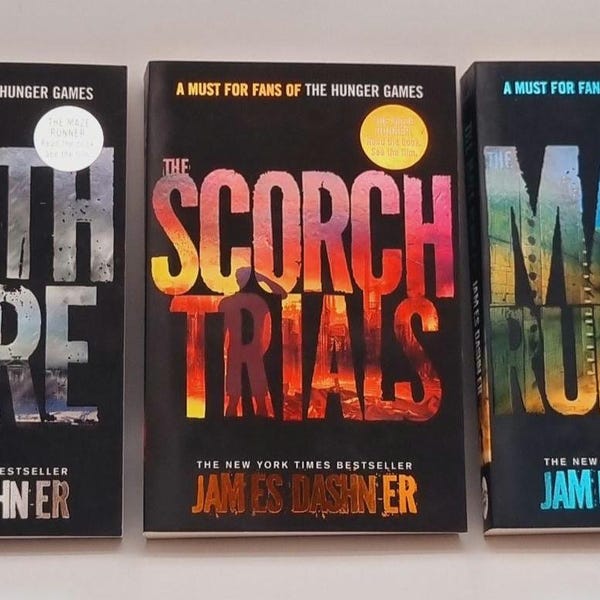 The Maze Runner Book Cover - Etsy