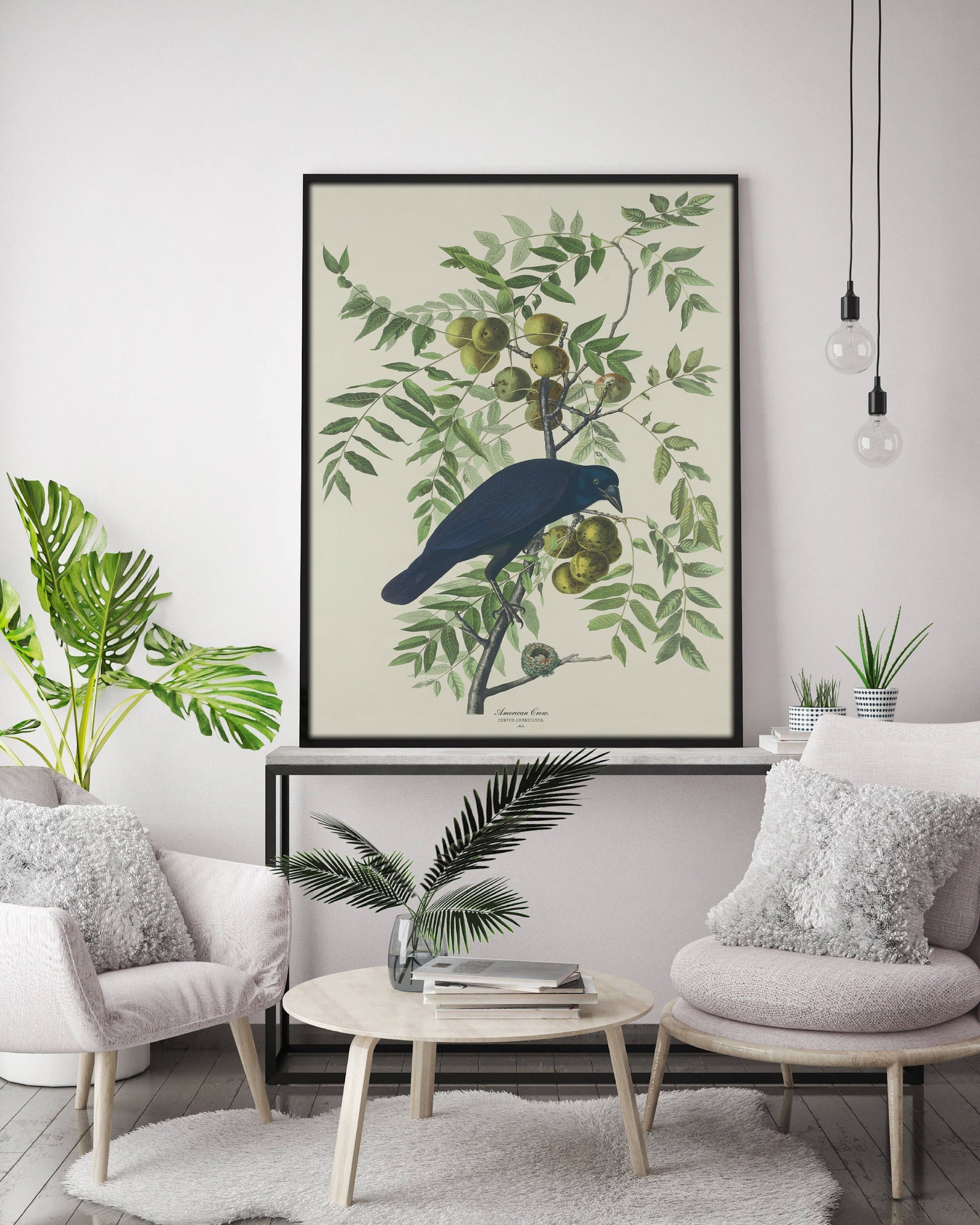 American Crow Print, Audubon Birds, Botanical Wall Art, Vintage Natural ...