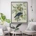 American Crow Print, Audubon Birds, Botanical Wall Art, Vintage Natural ...