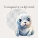 Watercolor Seal Clipart, Cute Sea Animal Clipart, Transparent PNG ...