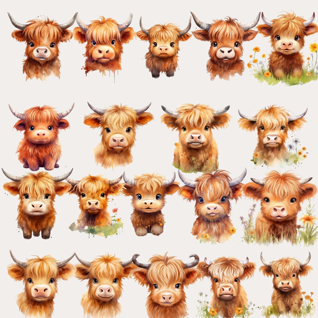 Highland Cow Watercolor Clipart, Farm Animal, PNG, Commercial Use ...