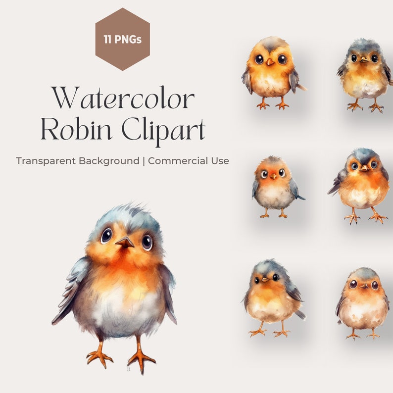 Watercolor Robin Clipart, Nursery Decor, Transparent PNG, Commercial ...