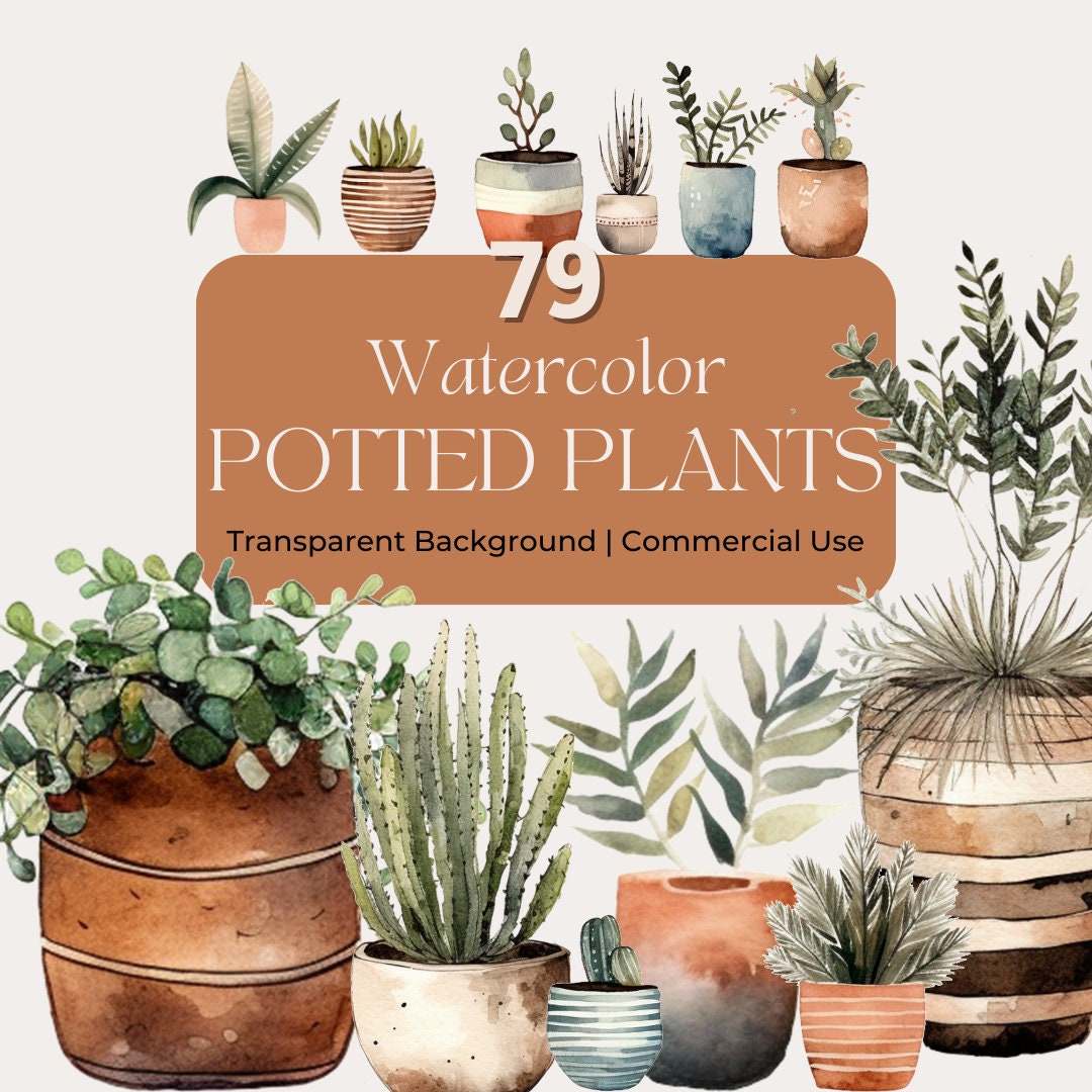 Watercolor Potted Plants Clipart, Boho Plants, Illustrations ...