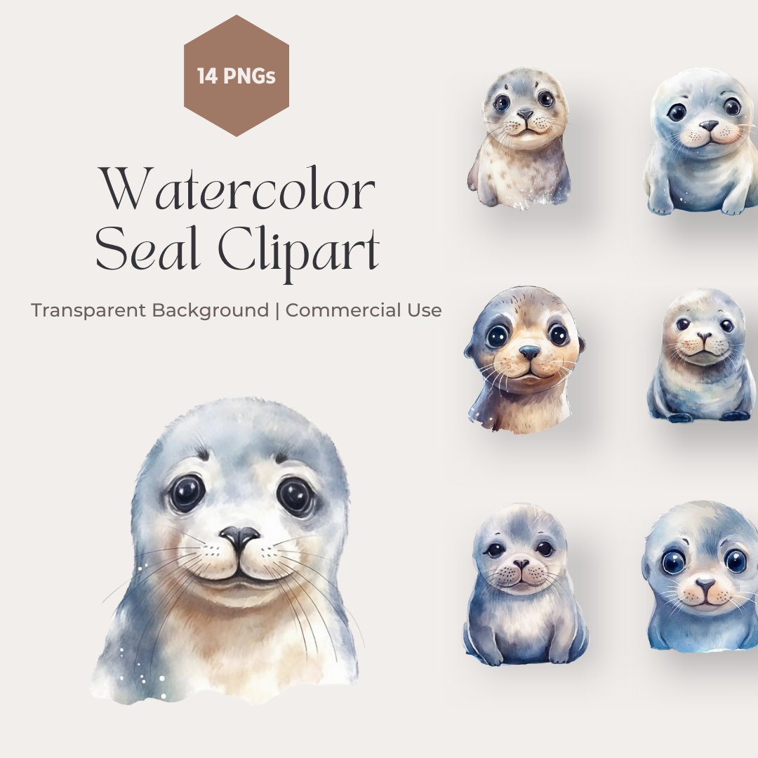 Watercolor Seal Clipart, Cute Sea Animal Clipart, Transparent PNG ...