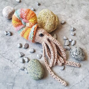 Ammonite Pattern - Knitted Shell toy Pattern – Cute Spiral Shell – DIY ...