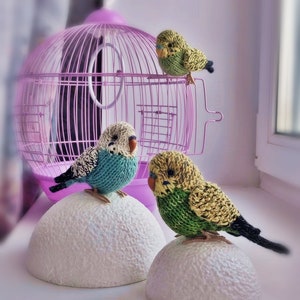 Budgie Knitting Pattern, Realistic Parrot Toy (ebook Tutorial) - Etsy