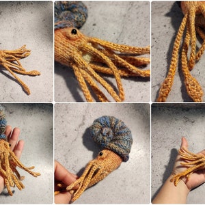 Ammonite Pattern - Knitted Shell toy Pattern – Cute Spiral Shell – DIY ...