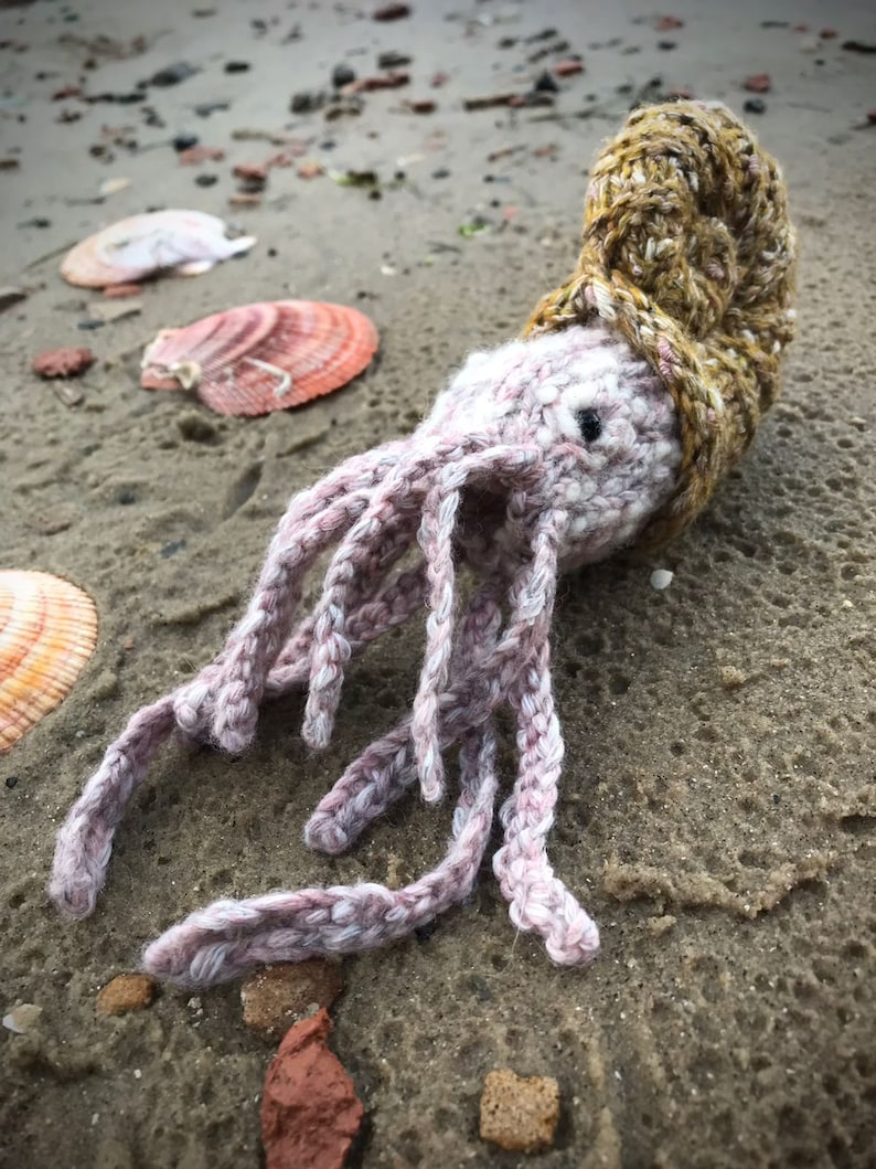 Ammonite Pattern Knitted Shelltoy Pattern Cute Spiral Shell DIY for ...