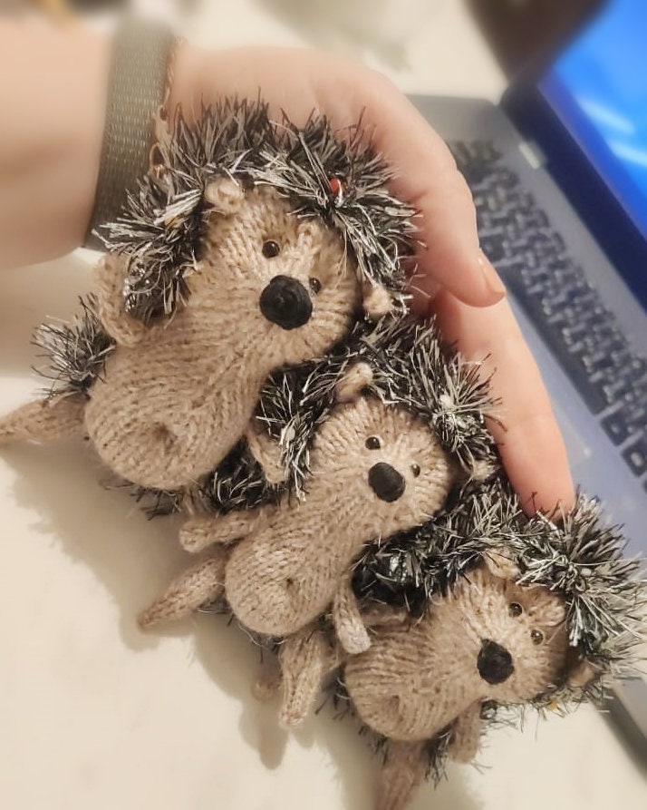 Hedgehog Knitting Pattern. Animal Pattern for Making Amigurumi Toy ...