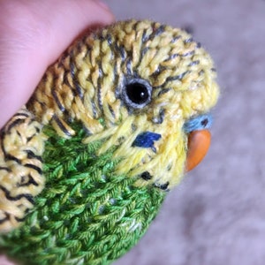 Budgie Knitting Pattern, Realistic Parrot Toy (ebook Tutorial) - Etsy