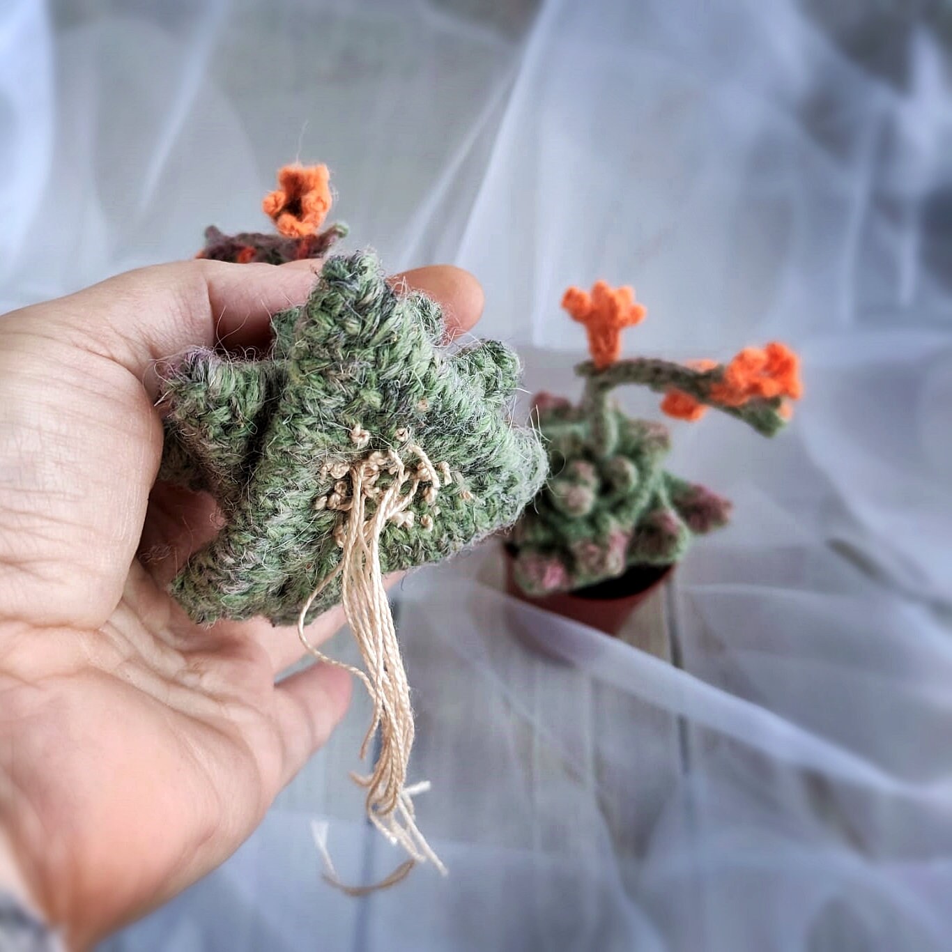 Succulent Pattern, Realistic Plant for Home Decor. Knitting Pattern for ...