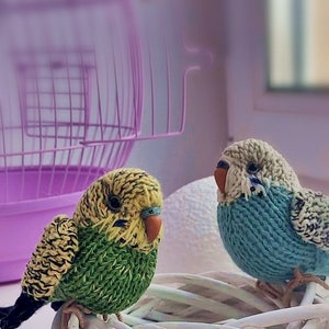 Budgie Knitting Pattern, Realistic Parrot Toy (ebook Tutorial) - Etsy